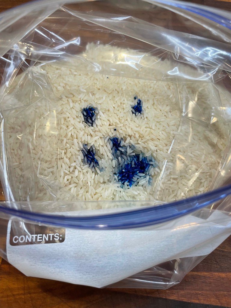 Under the Sea Rice Sensory Activity – Healthy Hatha Mama